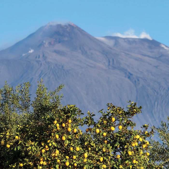 Citrange Amaro – Amaro al Limone e Mandarino Siciliano